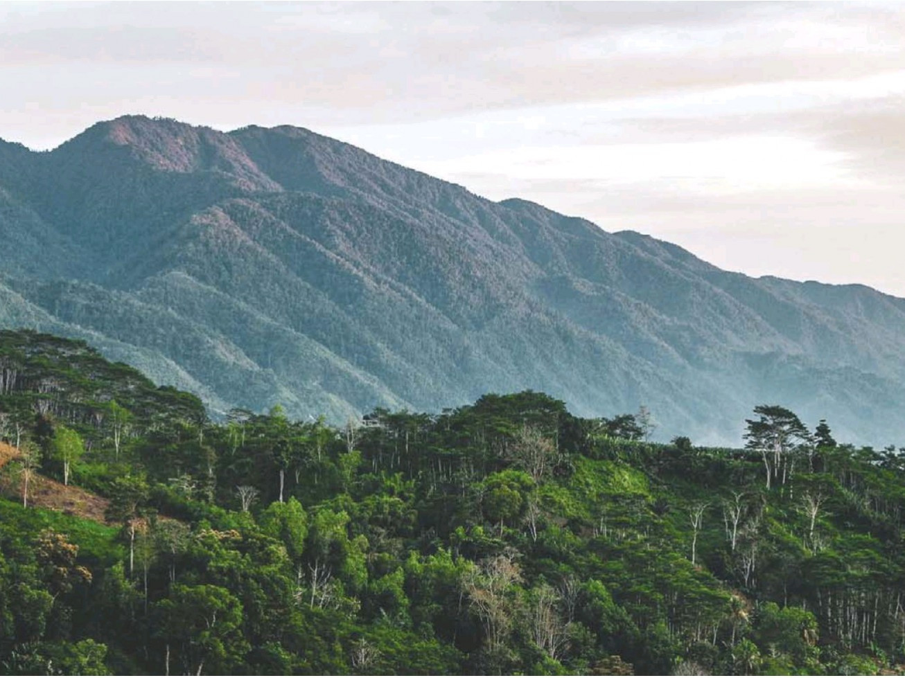 Hiking in Mindanao - Mountains PH