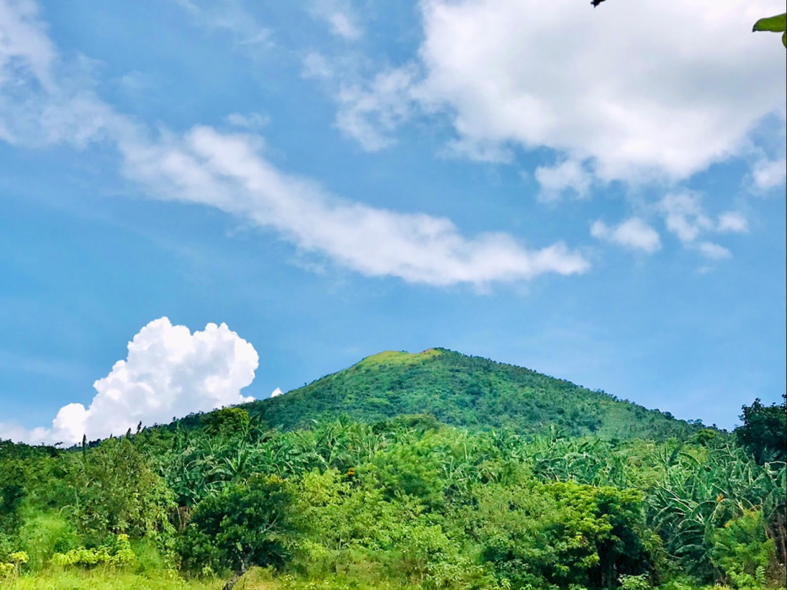 Mt. Kalisungan - Mountains PH