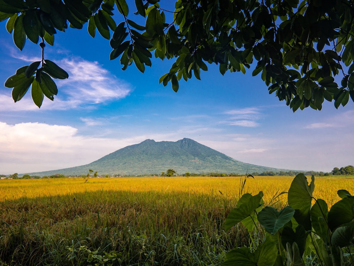 Mt. Arayat - Mountains PH
