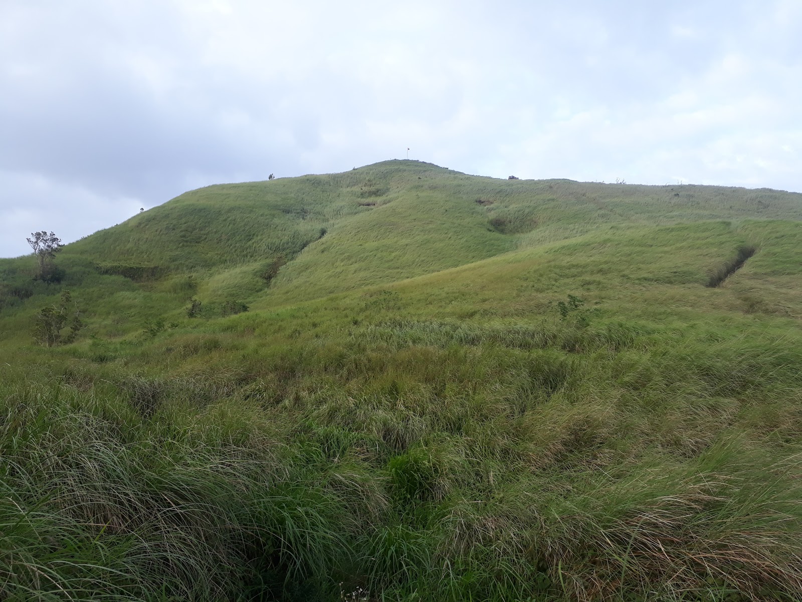 Hiking in Cardona, Rizal - Mountains PH
