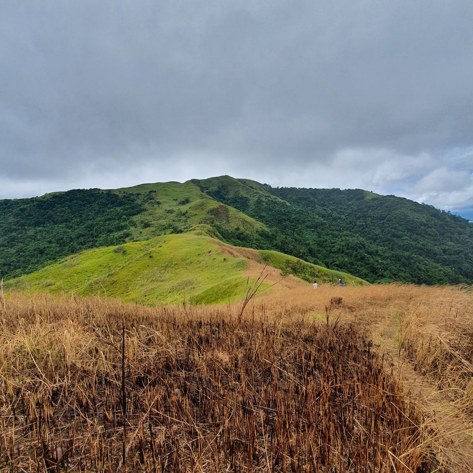 Hiking in Pililla, Rizal - Mountains PH